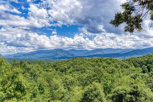 Smoky Vista Retreat, Hot Tub, Game Room, Wifi, 560 Free Tickets Each Paid Day - Gatlinburg, TN