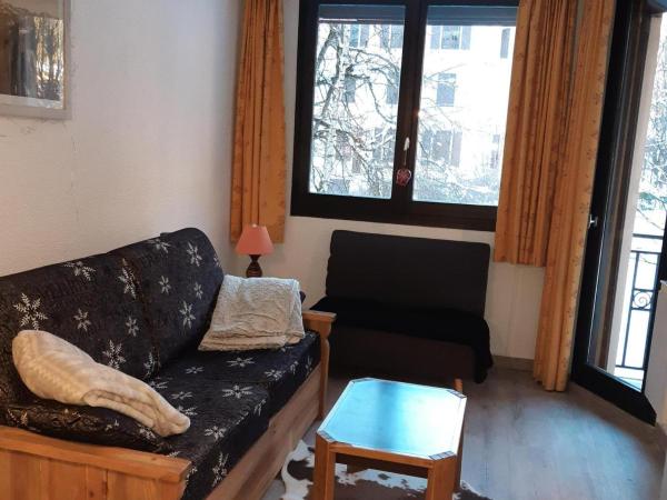 Appartement Chamonix - 2 Pièces, Casier à Ski, Près Des Bus - Fr-1-517-62 - Chamonix-Mont-Blanc