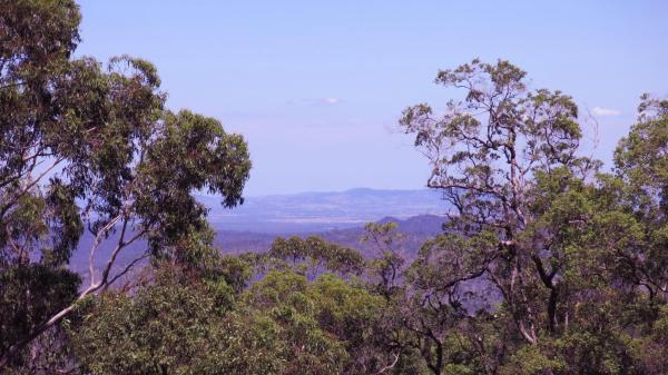 Ravensbourne Escape - Cedar Lodge - Crows Nest, Australia