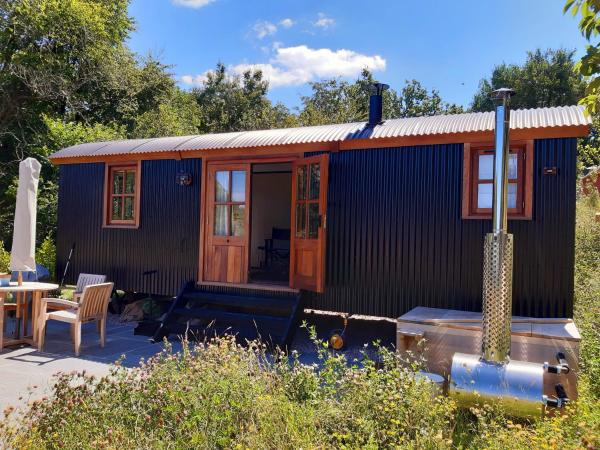 Cedar Shepherds Hut - Totnes
