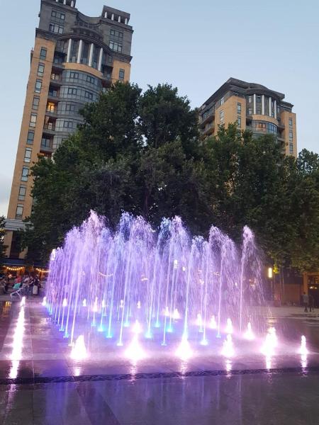 Luxe Apartment In The Center Of Erevan - Yerevan