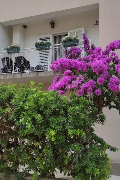 Apartments By The Sea Trpanj, Peljesac - 14309 - Trpanj