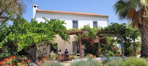Finca Los Meleros Andalucian Farmhouse Set In Its Own Land With Beautiful Terraces, Garden & Pool. - Olvera