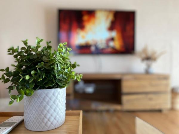 Ferienwohnung - 100m Von Der Talstation Aletsch Bahnen Und Bahnhof Fiesch, Beste Ausgangslage - Bettmeralp