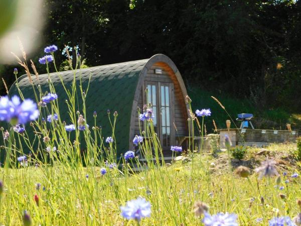 Cosy Pod-cabin Near Beautiful Landscape In Omagh - Scotland