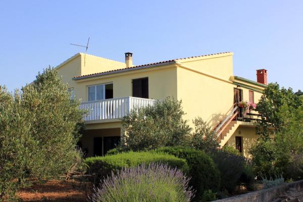 Apartments With Parking Space Zaglav, Dugi Otok - 878 - Sali