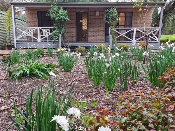 Barossa Country Cottages - Lyndoch