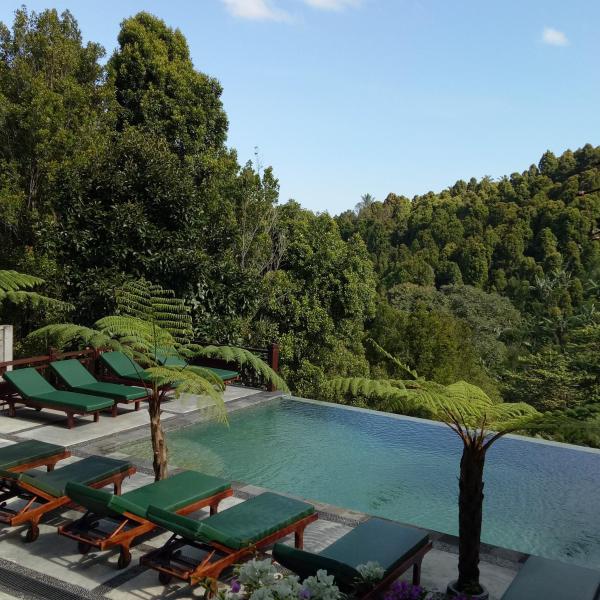 Bintang Munduk - Bali