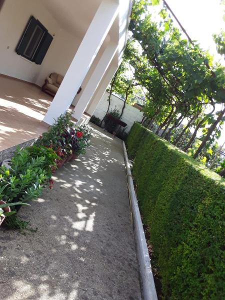 House 28 - 알바니아