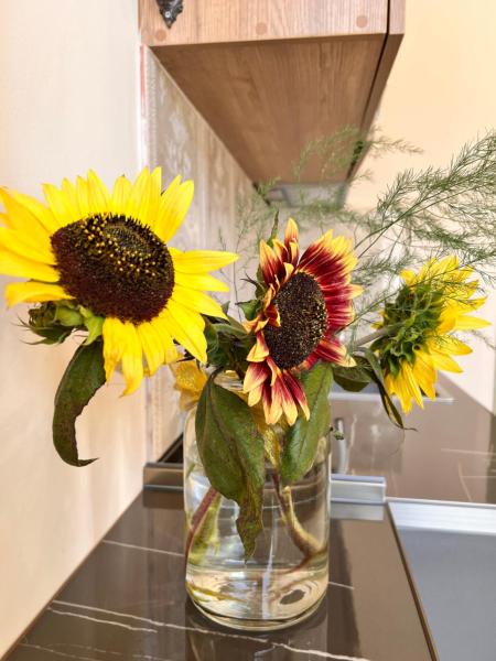 Premium Apartment Tamarioni - Tbilissi