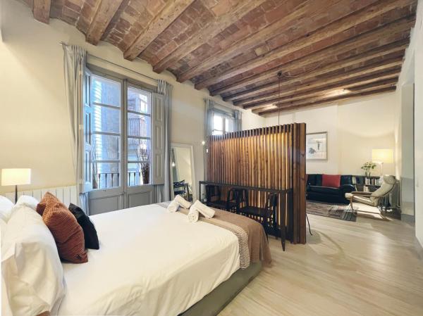 Plaza Catalunya Ix Apartment - Barcelona