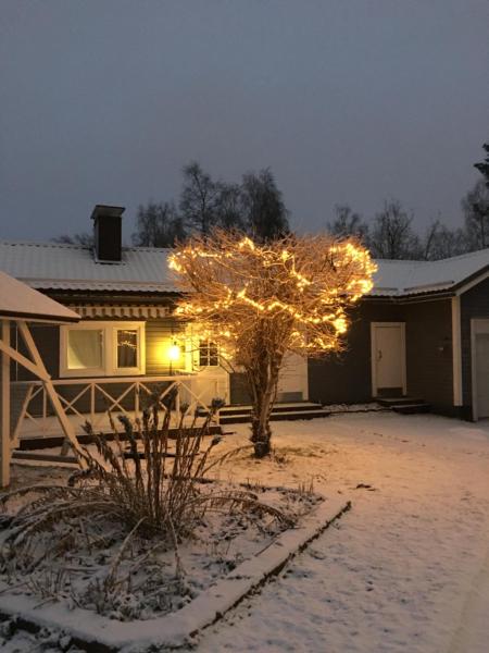 Aurora Center 3 - Rovaniemi