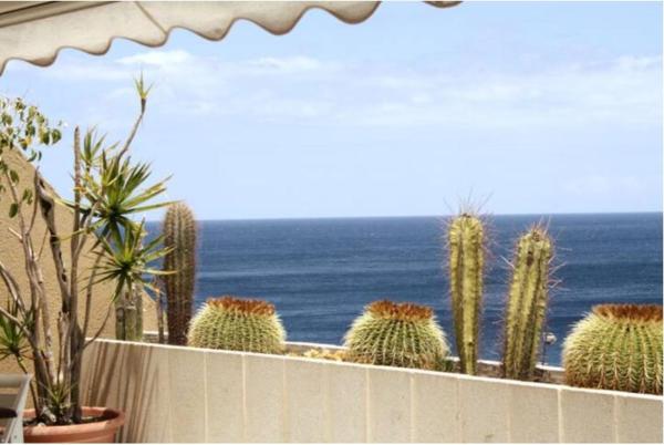 Apartamento Frente Al Mar - Tenerife