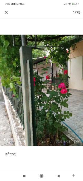 Kolhida Home - Килкис