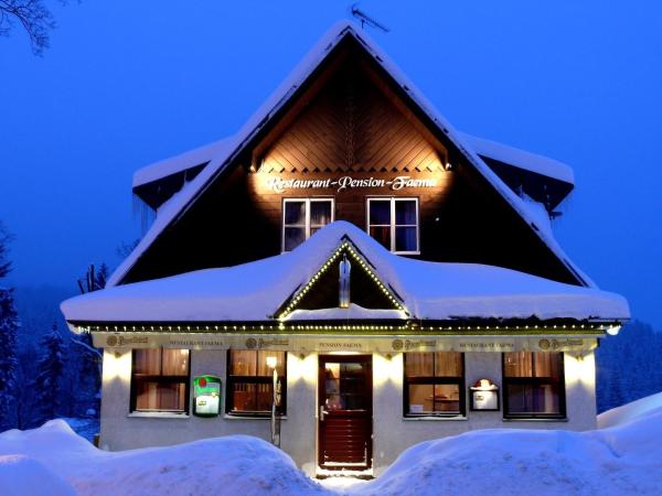 Pension Faema - Harrachov