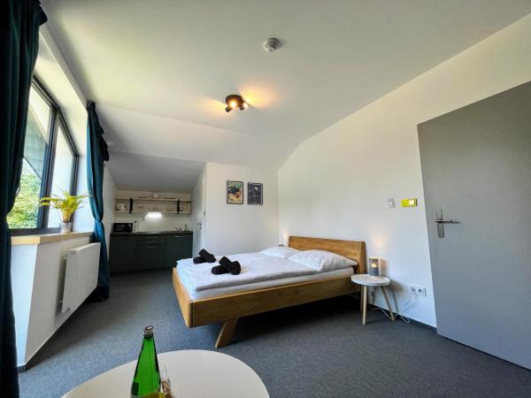 Apartmán Pod Lomnickým šTítom A Beliankami - Starý Smokovec