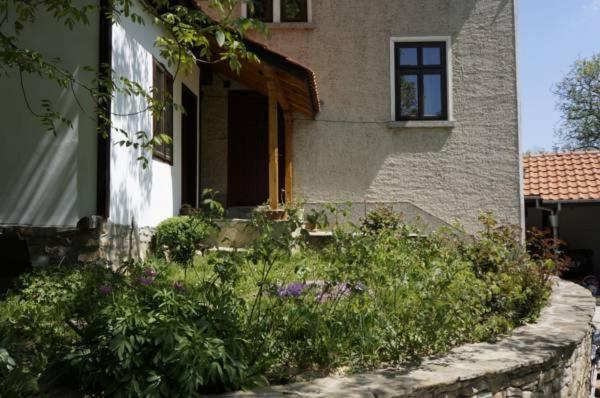 Guest House Pepeliana - Bulgaria