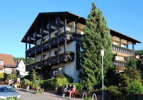 Hotel Schloessmann Garni - Michelstadt