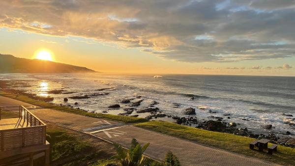 Sea Shell - Morgans Bay