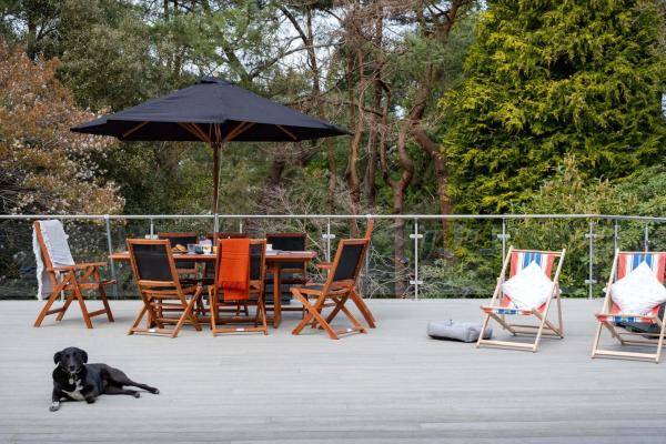 Tree Top House - Bournemouth