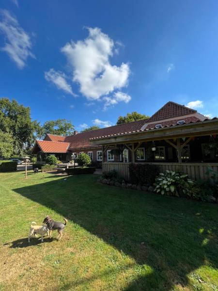 Familiehuis Boysen Bed&breakfast - Ribe