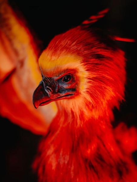 "Appartementdusorcier" Magique Expérience & Parking - Dijon