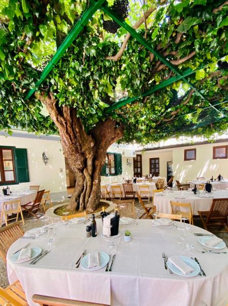 Antica Locanda Al Gelso - Monfalcone