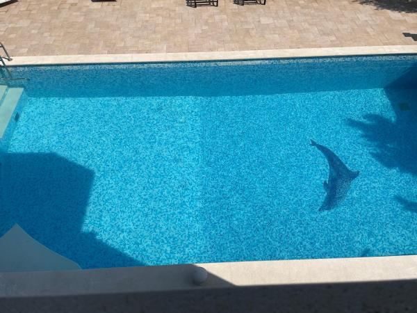 Gorana Studio Apartment - Hvar