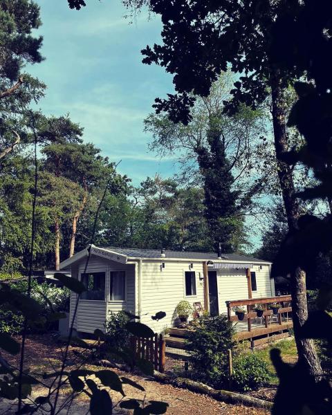 Knus Chalet Midden In De Bossen - Epe