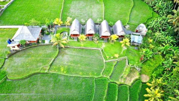 Pondok Gandalangu Ubud-dikelilingi Hamparan Sawah - Bali