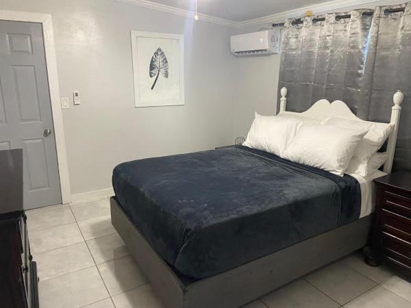 Airy 1-bedroom Apartment 3 Minutes From Downtown - Nassau