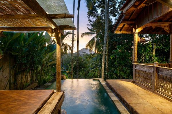 One Bedroom Pool Villa Jungle And Mountain View - Bali
