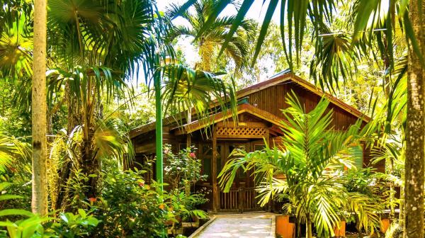 Beautifull Two Bedroom Cabin With Spacy Patio - Negril