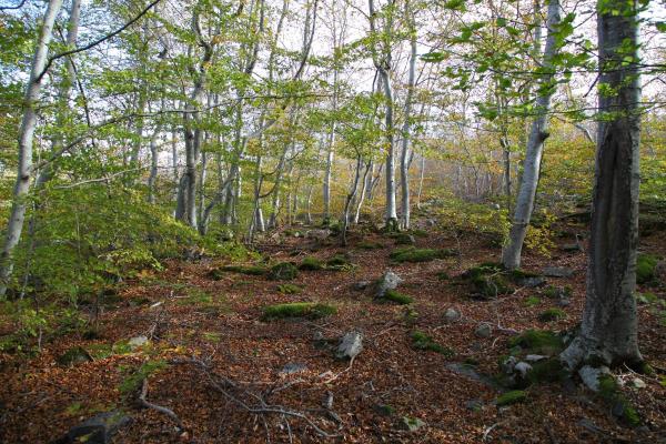 Holiday Home Mirador Sierra Del Madero - Ólvega
