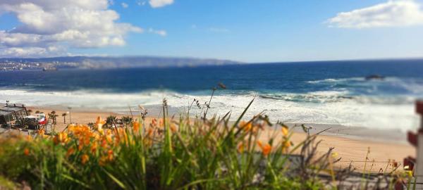 Amplio Departamento A Pasos De Reñaca Increible Vista - Concón