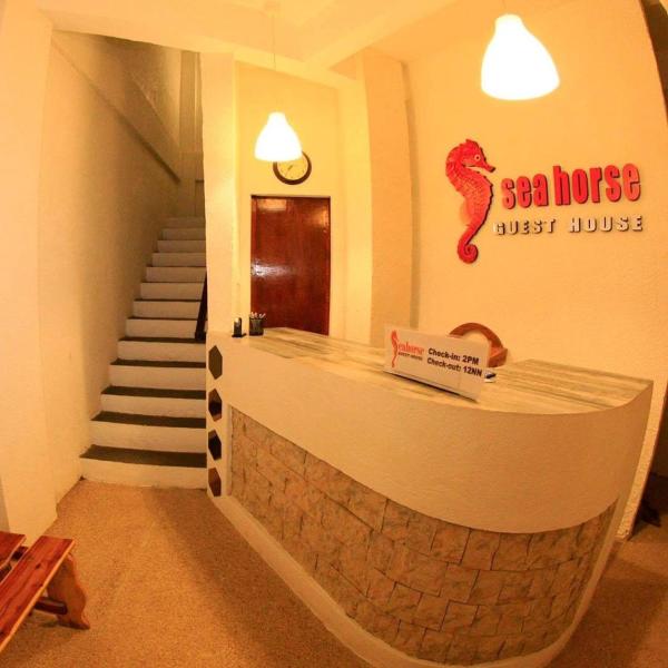Sea Horse Guest House - Coron