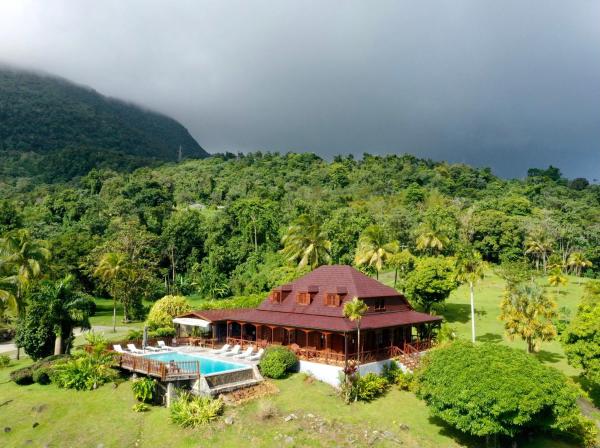 Jardin Malanga - Guadeloupe