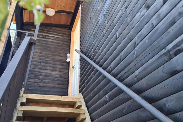 El Gran Roble. - Constitución