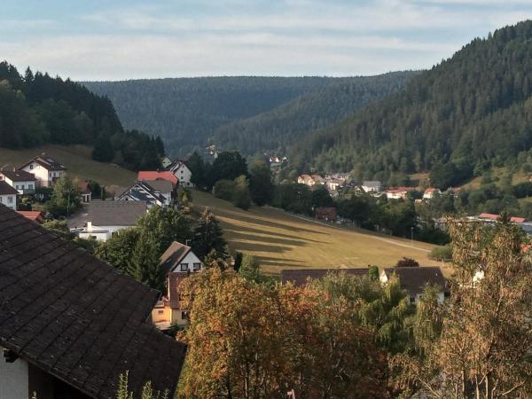 Waldblick - Baiersbronn