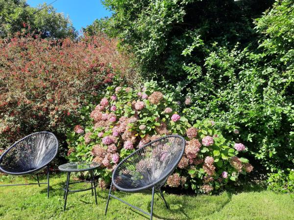 Modern Town House - Sligo