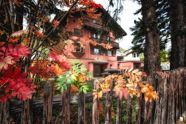 Chalet Speciale - Celerina - Saint Moritz