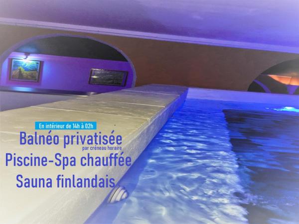 Logis Domaine Spa-piscine Sauna - Castres