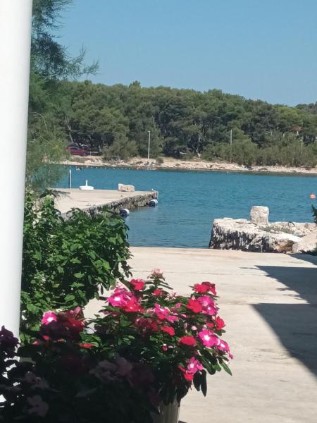 Volat Apartments - Murter