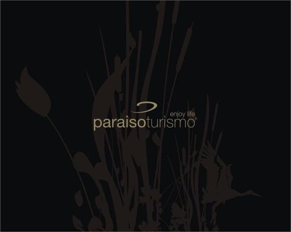 Bairrada Suite House By Hotel Paraiso - Águeda