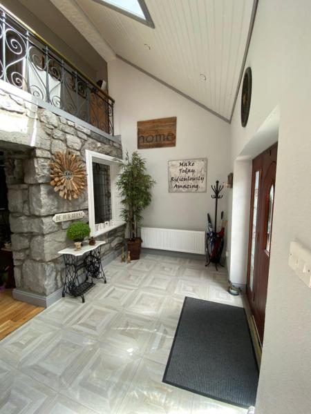 Salmon Weir Lodge - 메이요 주
