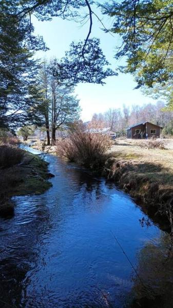 Cabaña Los Chilcos - Neuquen