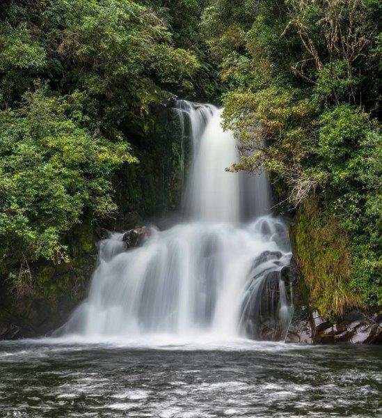 Blackfern Lodge - Manawatu-Wanganui