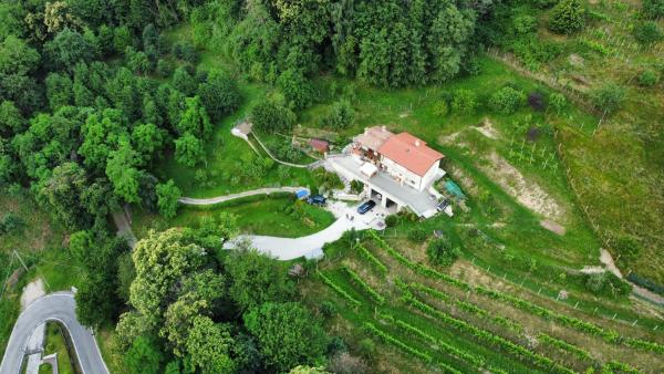 Locazione Turista Cocodè - Feltre