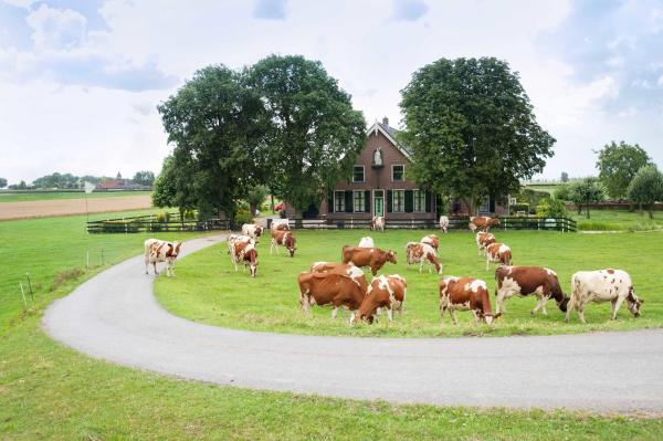 Sint Nicolaashoeve - Alphen aan den Rijn