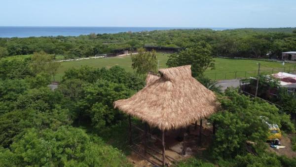 Palapa - Nicaragua